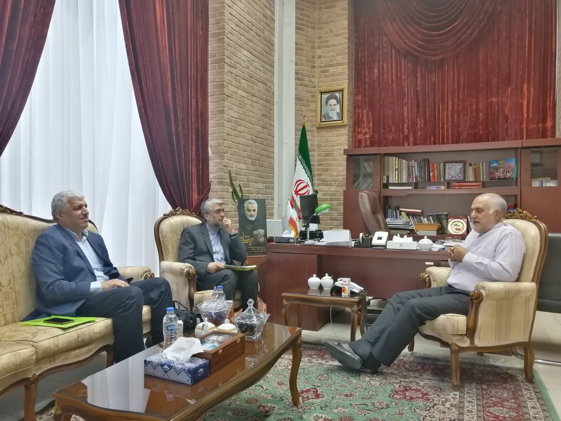 دبیرخانه شورای عالی امور ایرانیان خارج از کشور بررسی ظرفیت‌های کمیته